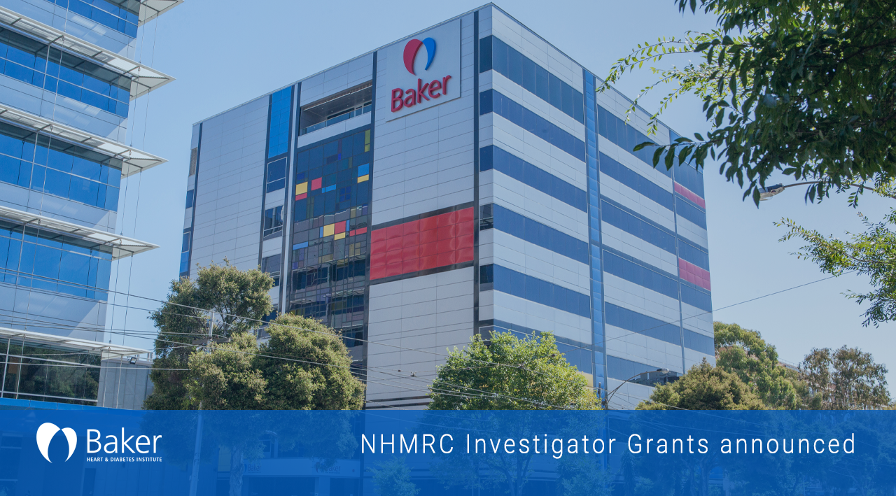 Major NHMRC grants to advance understanding of cardiometabolic disease ...