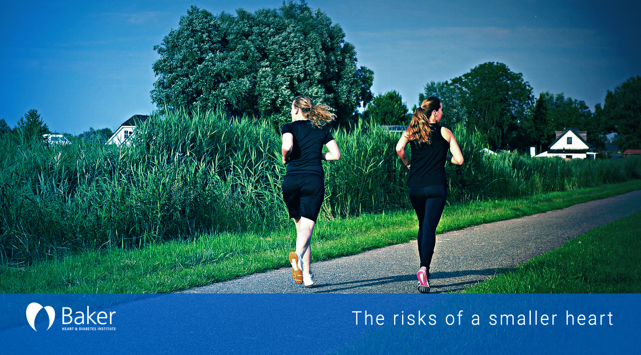 Smaller hearts linked to lower fitness levels