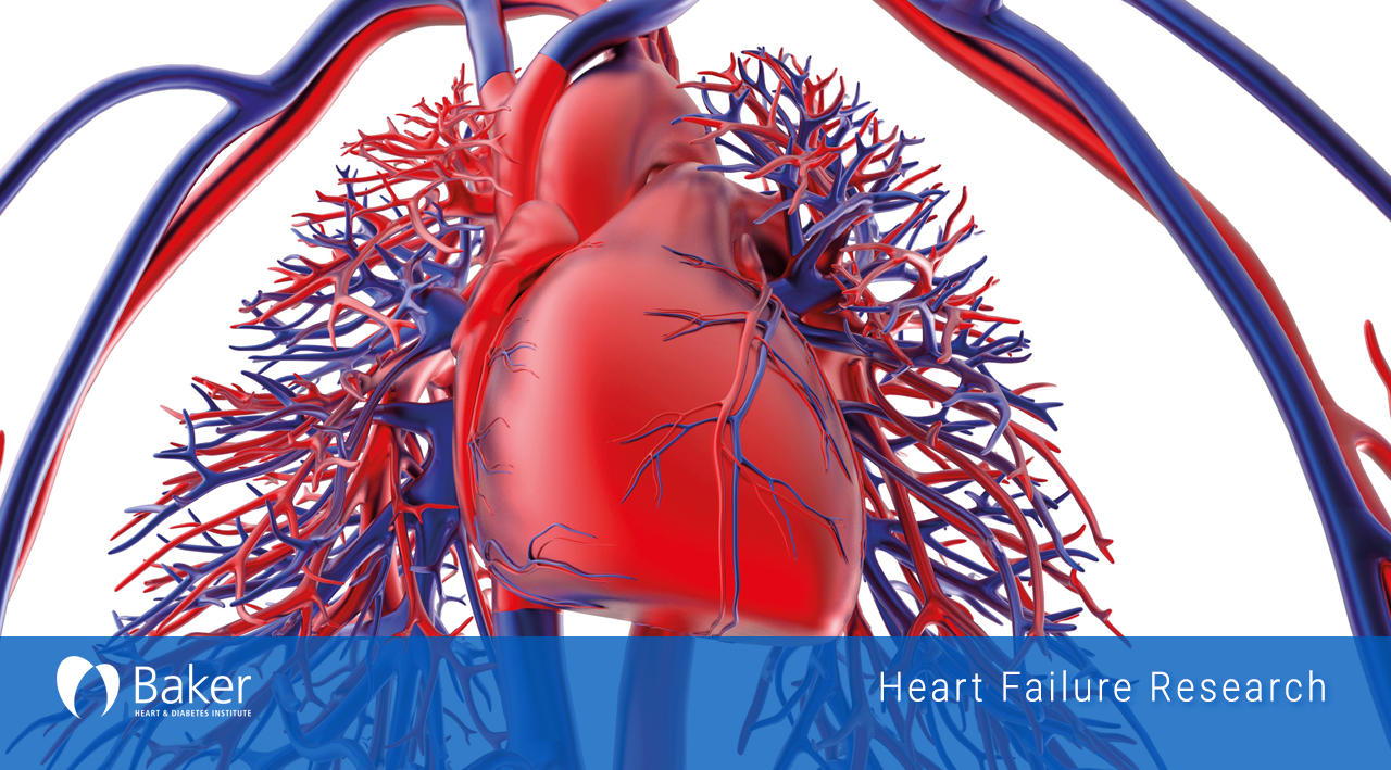 Heart Failure Research | Baker Heart and Diabetes Institute